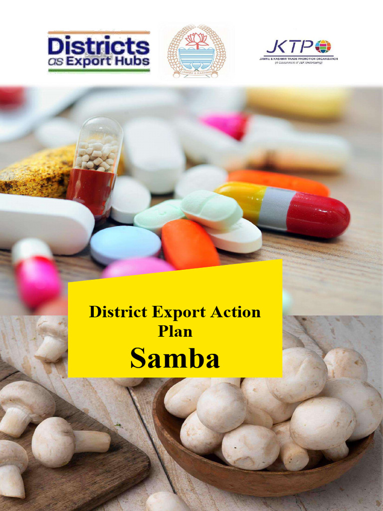 Samba Export Action Plans | PDF | Bamboo | Mushroom