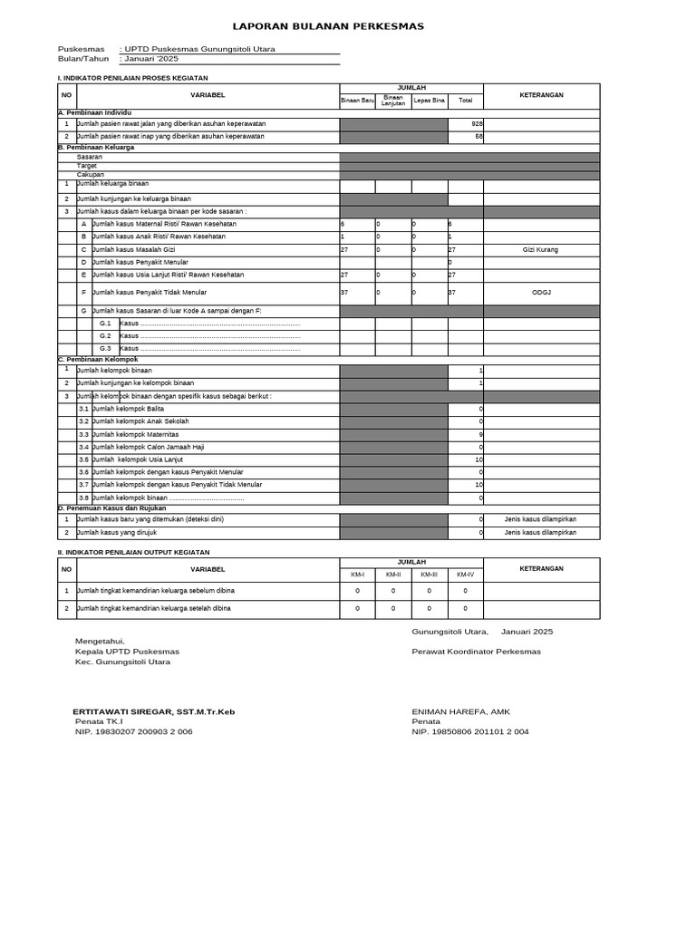 Laporan Perkesmas | PDF