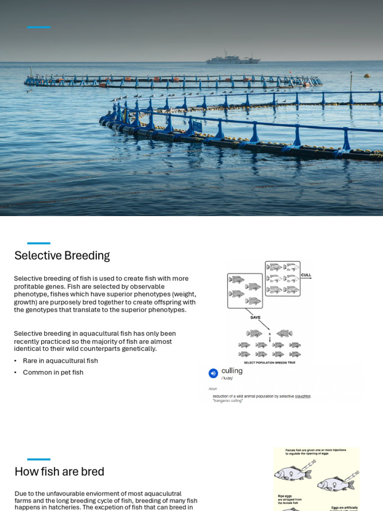 Fish Farming Project For Biology High School | PDF | Aquaculture ...