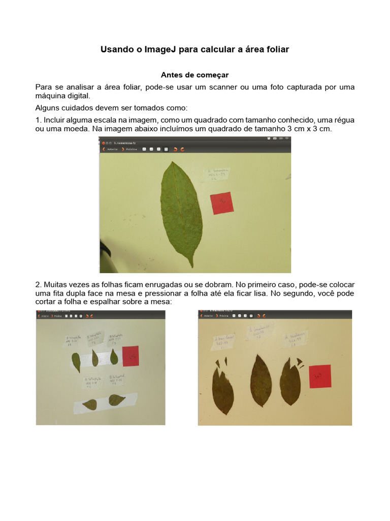 Calcule Área Foliar com ImageJ | PDF
