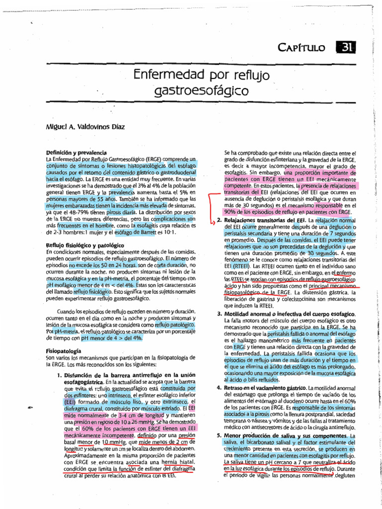 ERGE | PDF