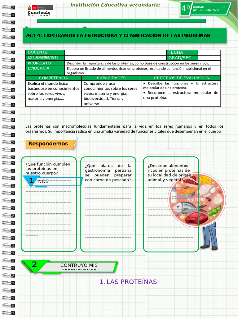 C4º Act 4-Cyt-U1 | PDF | Proteínas | Aminoácidos