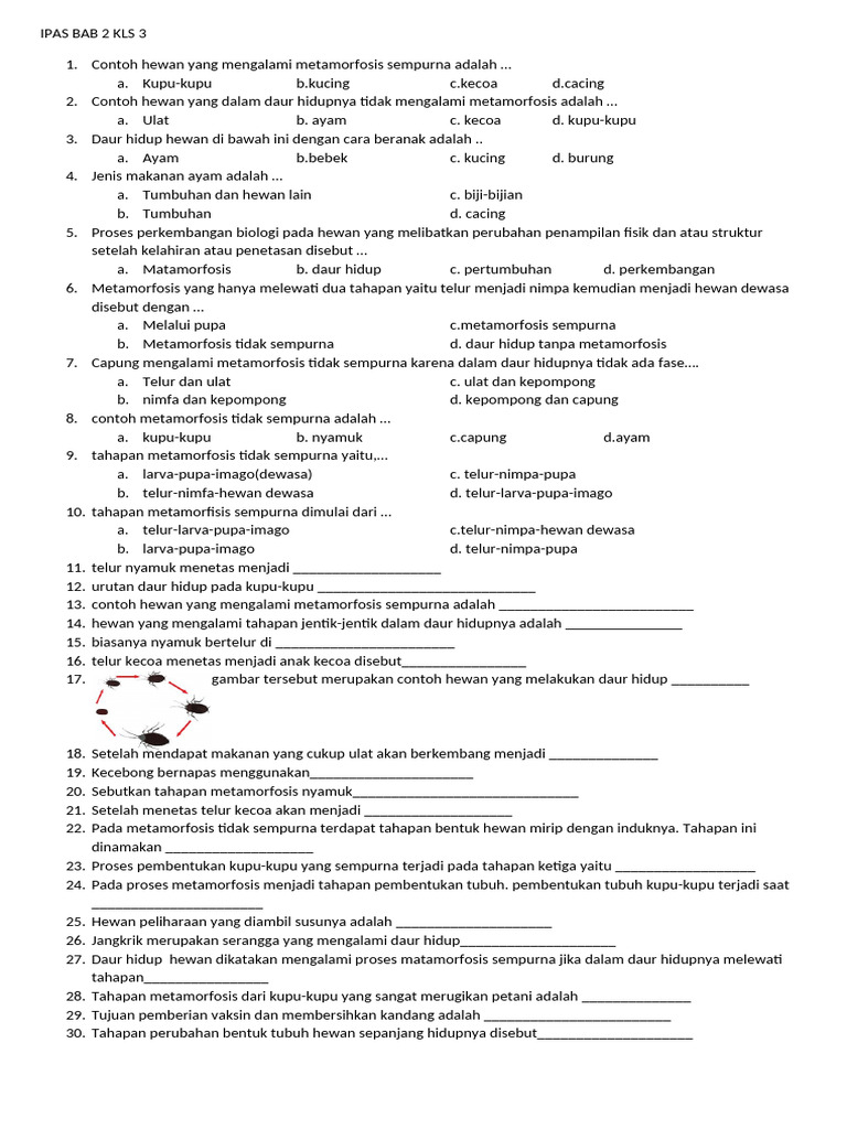 Ipas Bab 2 KLS 3 | PDF