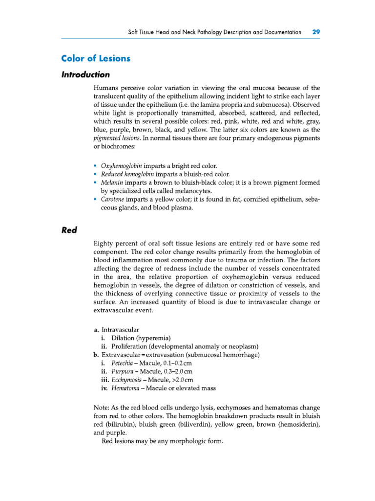 Soft Tissue Head and Neck Pathology Description and Documentation | PDF