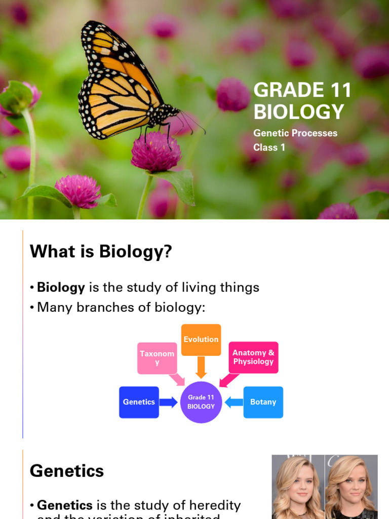 G11 Biology - Class 1 (Annotated) | PDF | Meiosis | Mitosis