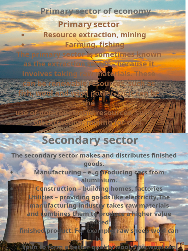 Primary Sector of Economy | PDF