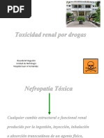 Fármacos Nefrotóxicos y su Manejo | PDF | Tratamientos médicos | Medicina