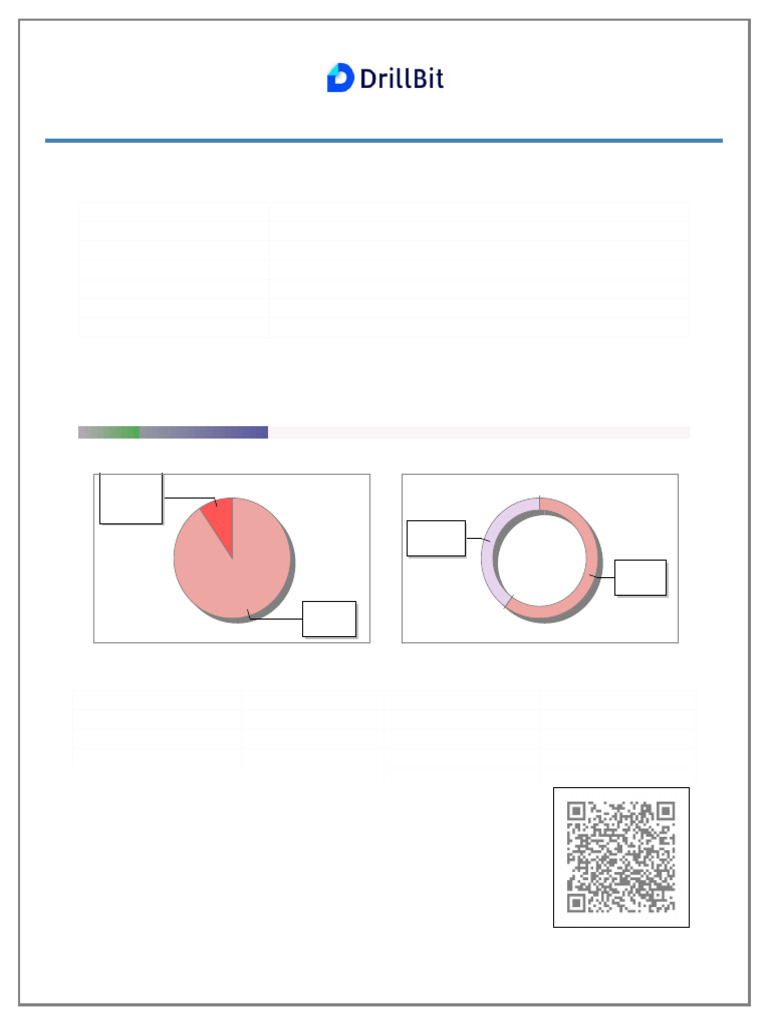 Drilbit Karil Widiastuti | PDF