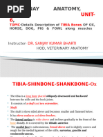 1687761495.6. Type of Cercariae With Examples | PDF | Zoology