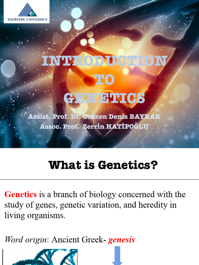 Son Introduction of Genetic 2021 | PDF | Rna | Translation (Biology)