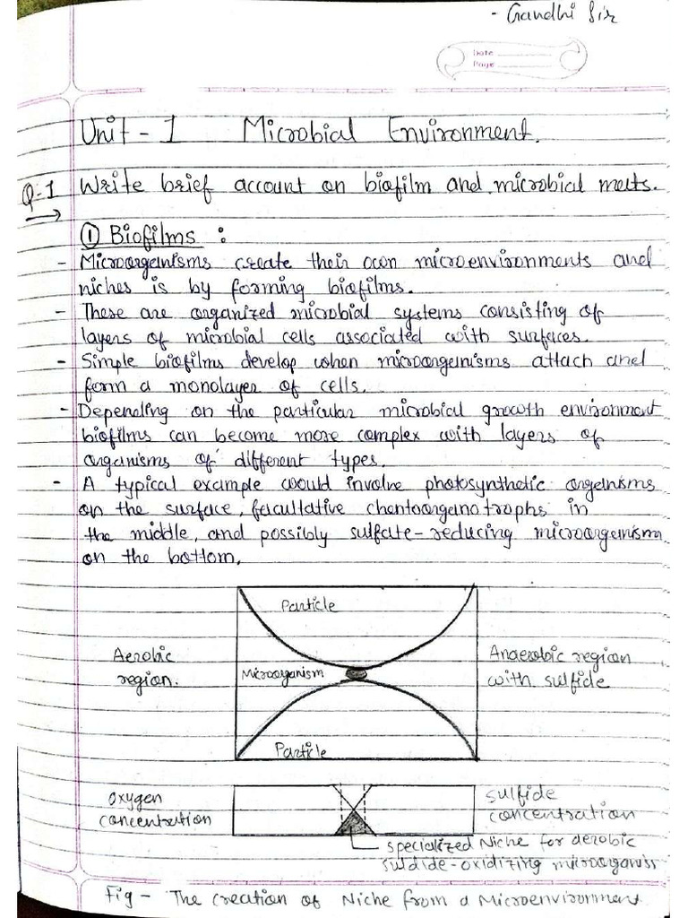 Mic 53 Unit 1 Assignment | PDF