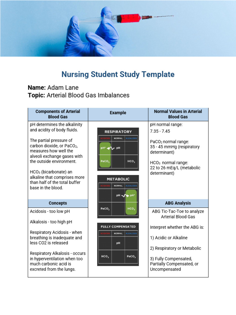 Student Nurses Study Template | PDF