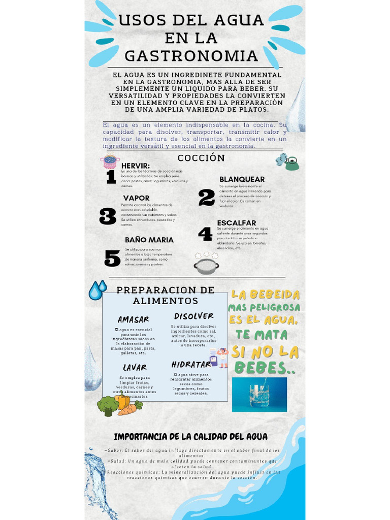 Infografía Del Agua | PDF