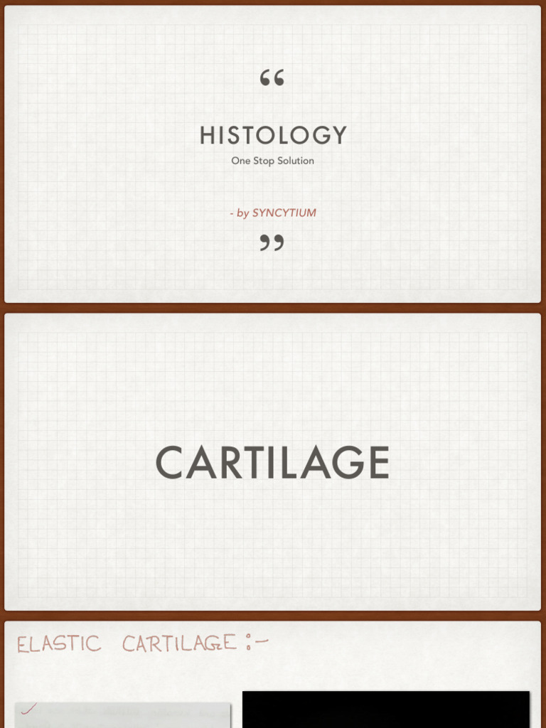Histology - One Stop Solution by SYNCYTIUM | PDF