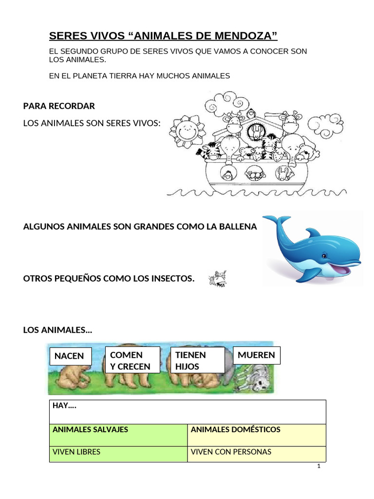 Adaptación Conocimiento Animales 1er Grado | PDF