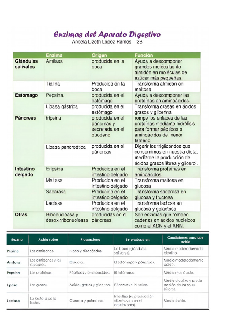 Documento (15) (1)aaaaa | PDF