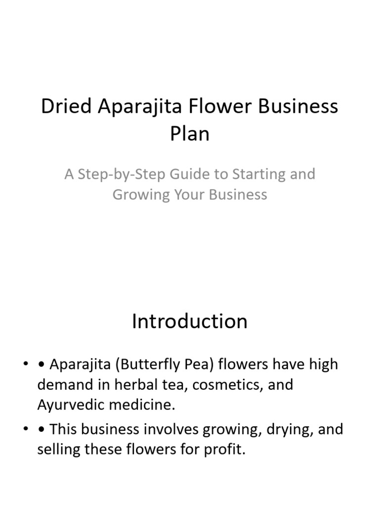 Dried Aparajita Business Plan | PDF