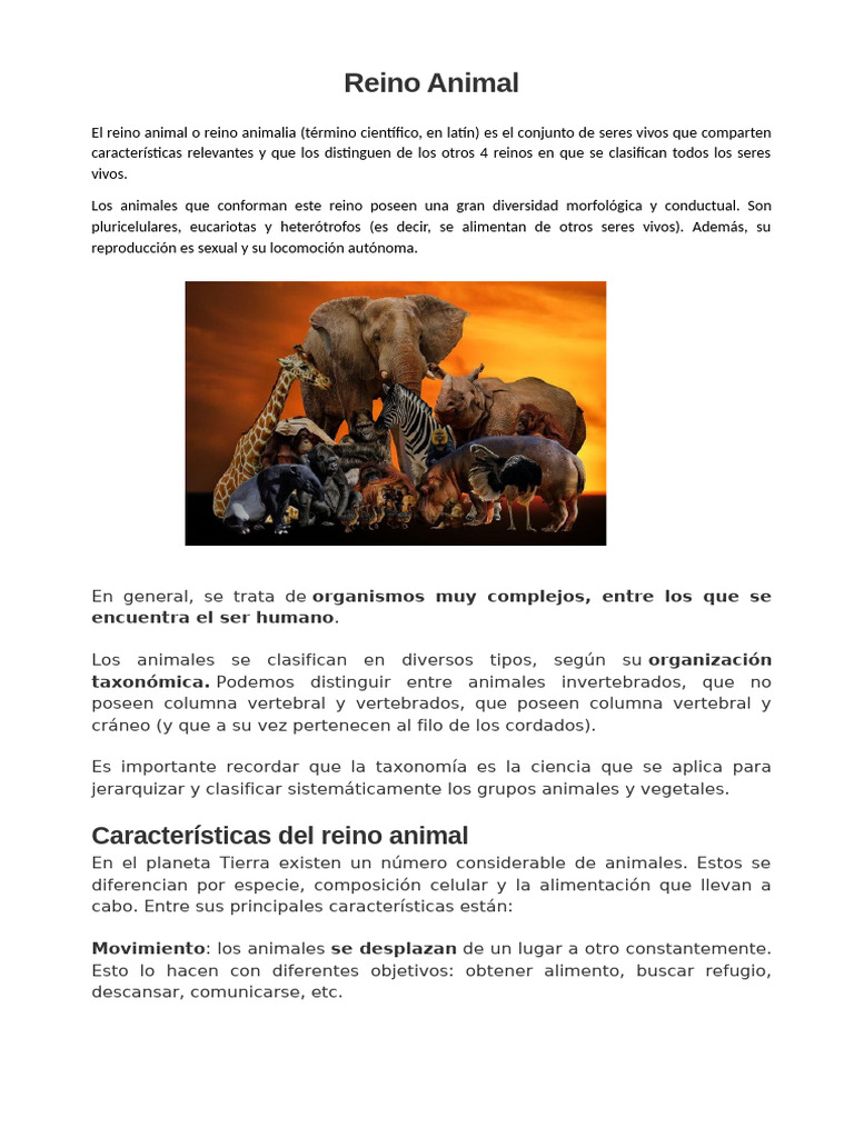 Reino Animalia - KIMBERLY | PDF | Plantas | Eucariotas