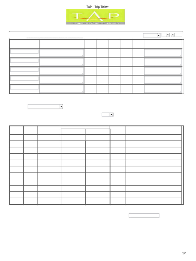 Trip Ticket Template for TAP Services | PDF