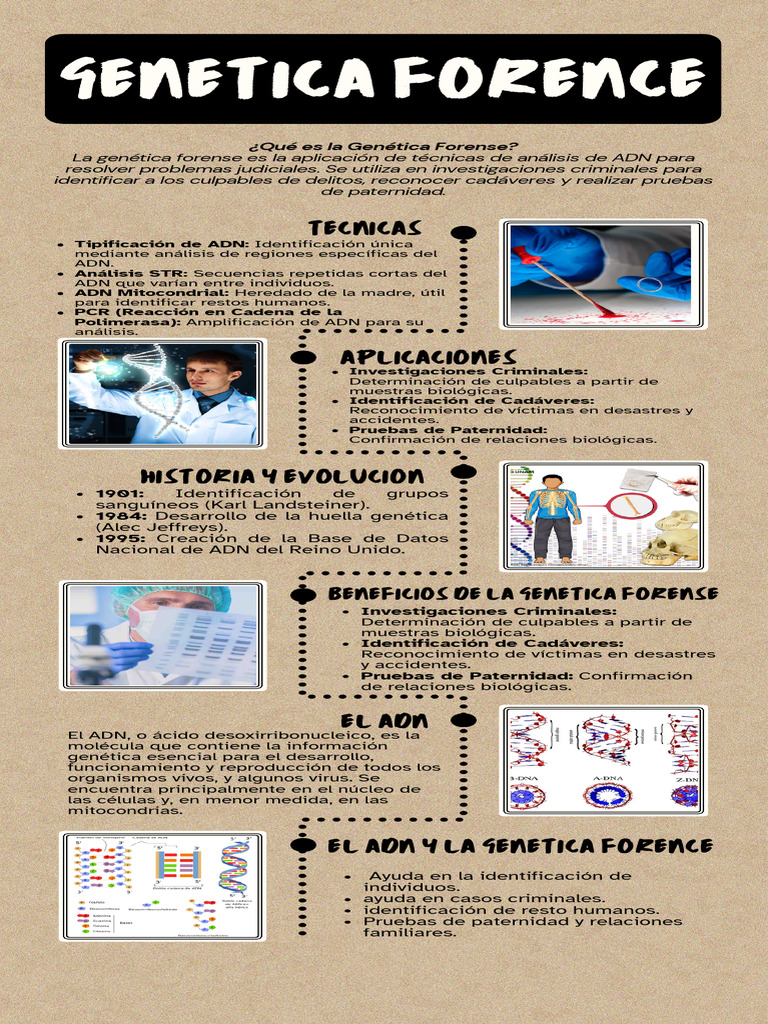 Infografia Genetica Forence | PDF | Perfiles de ADN | Adn