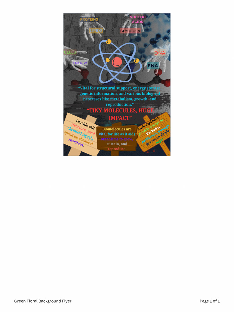 Poster - Mini Task (Science) | PDF