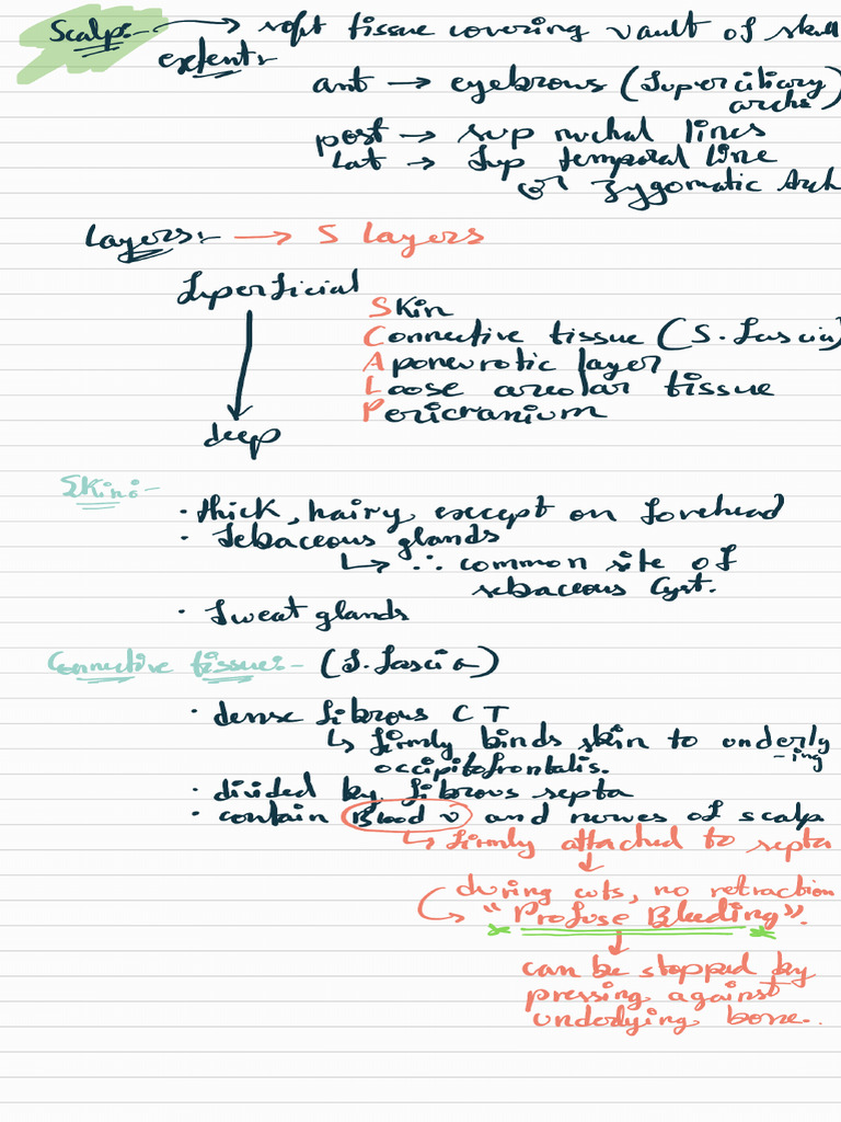 Scalp Notes | PDF