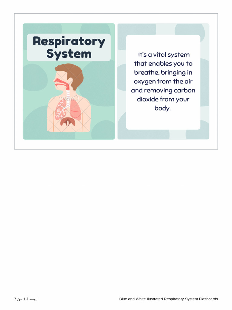 Blue and White Ilustrated Respiratory System Flashcards PDF | PDF