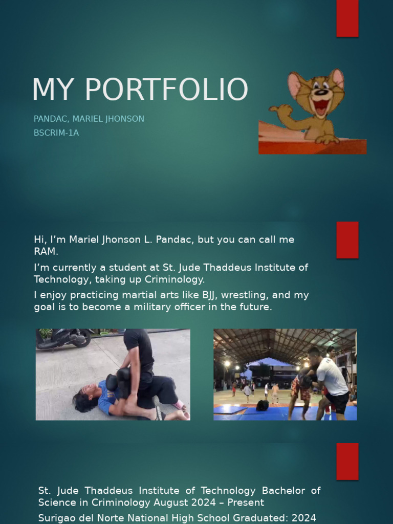 My Portfolio Ramram | PDF