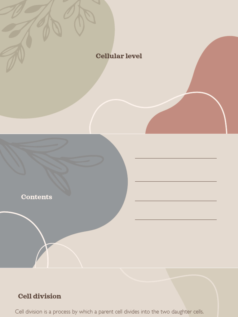 Cellular Level (Cell Division) | PDF | Meiosis | Mitosis