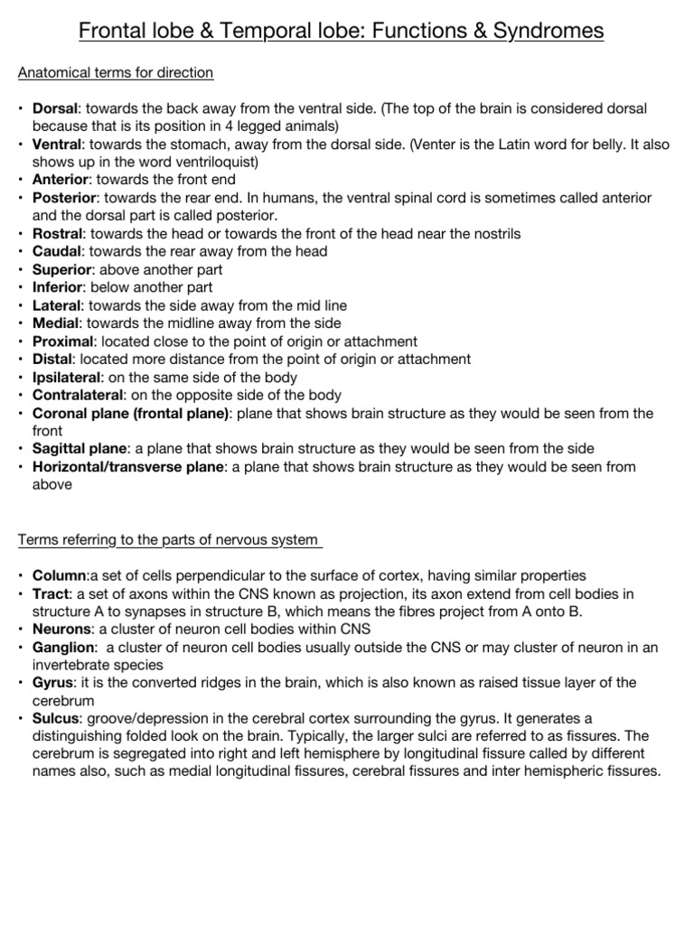 Mod 3 Neuropsychology | PDF | Temporal Lobe | Frontal Lobe