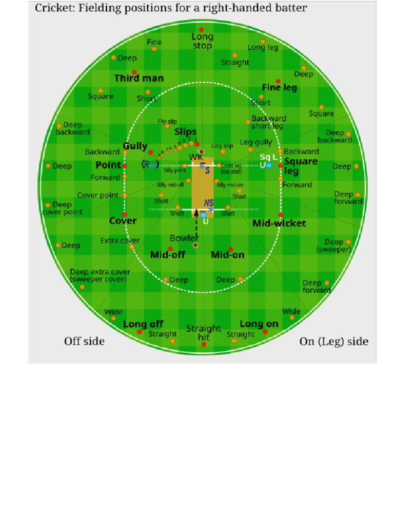 Cricket | PDF