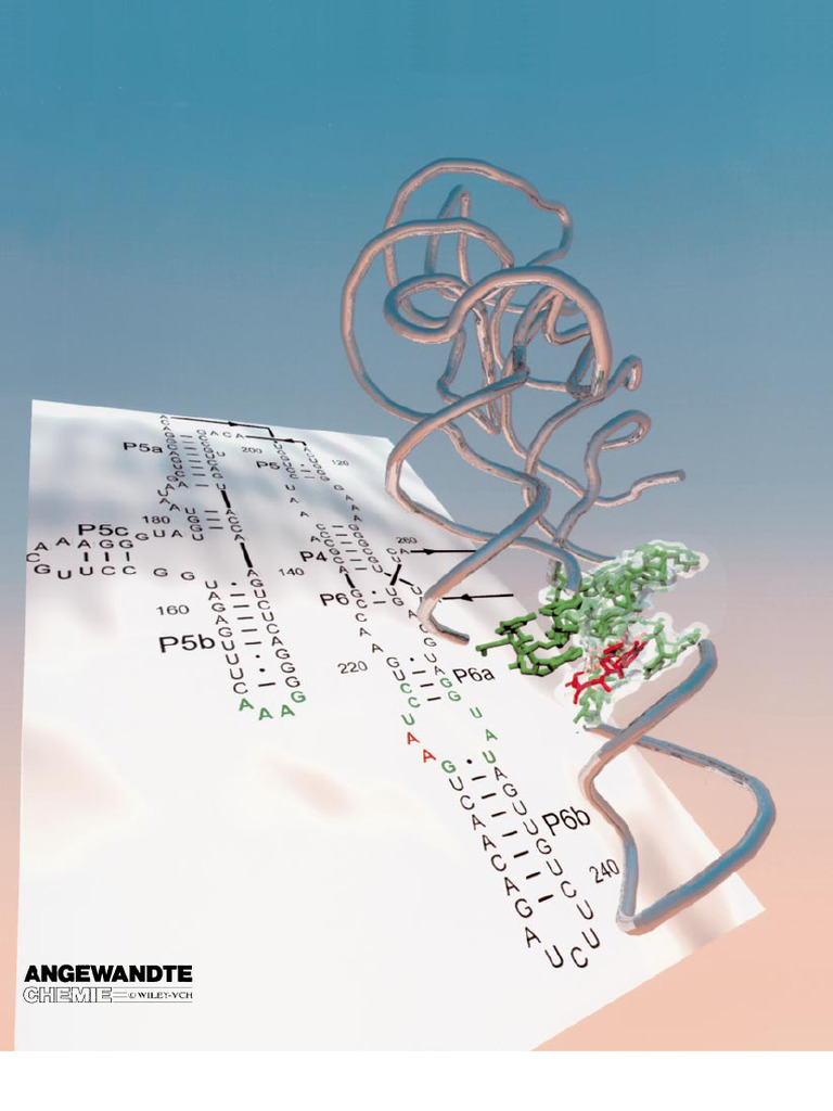 Fulltext | PDF | Rna | Base Pair