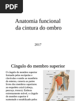Anatomia Do Complexo Articular Do Ombro | PDF | Sistema Locomotor | Anatomia humana