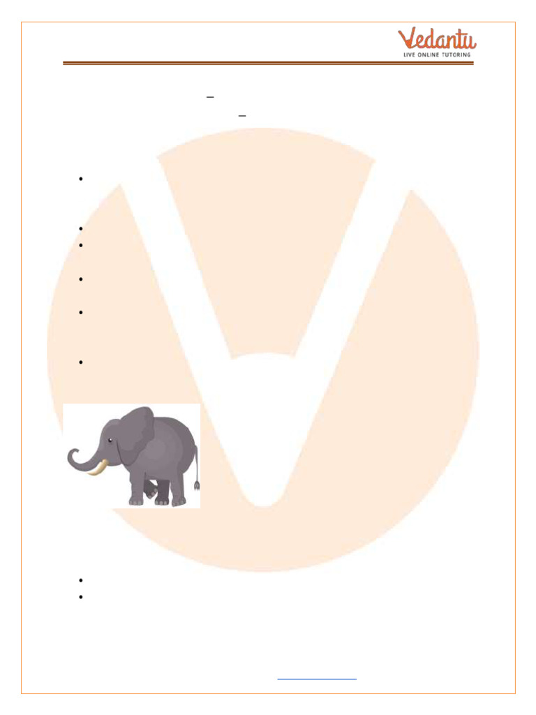 A Day with Nandu: Class 4 EVS Summary | PDF | Elephant