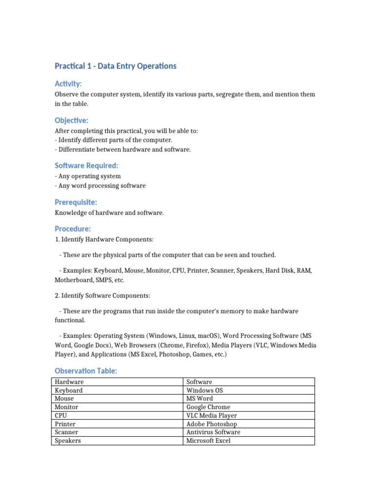 Practical_1_Data_Entry | PDF