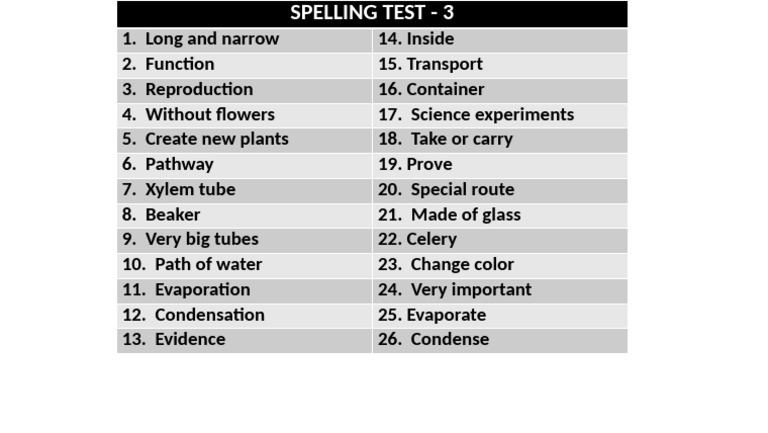 Year 4 Spelling Test 3 | PDF
