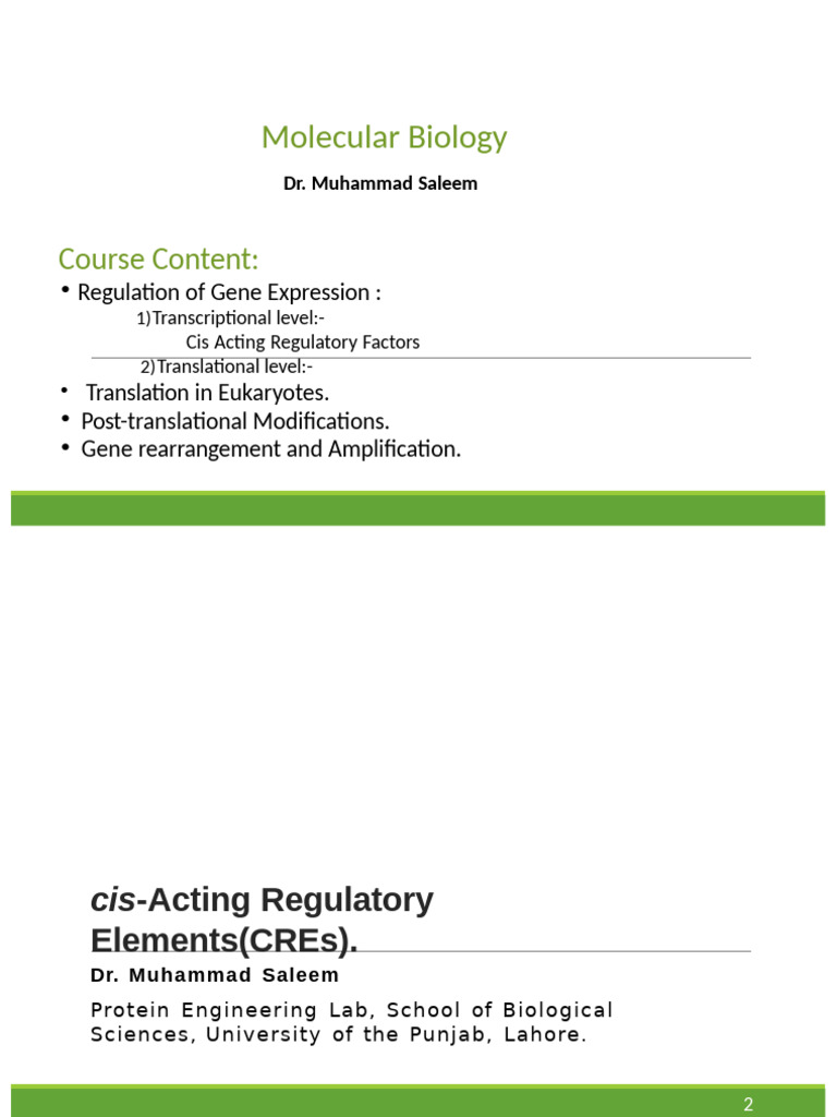 Cis-Acting Regulatory Elements (CREs) | PDF | Promoter (Genetics) | Regulation Of Gene Expression