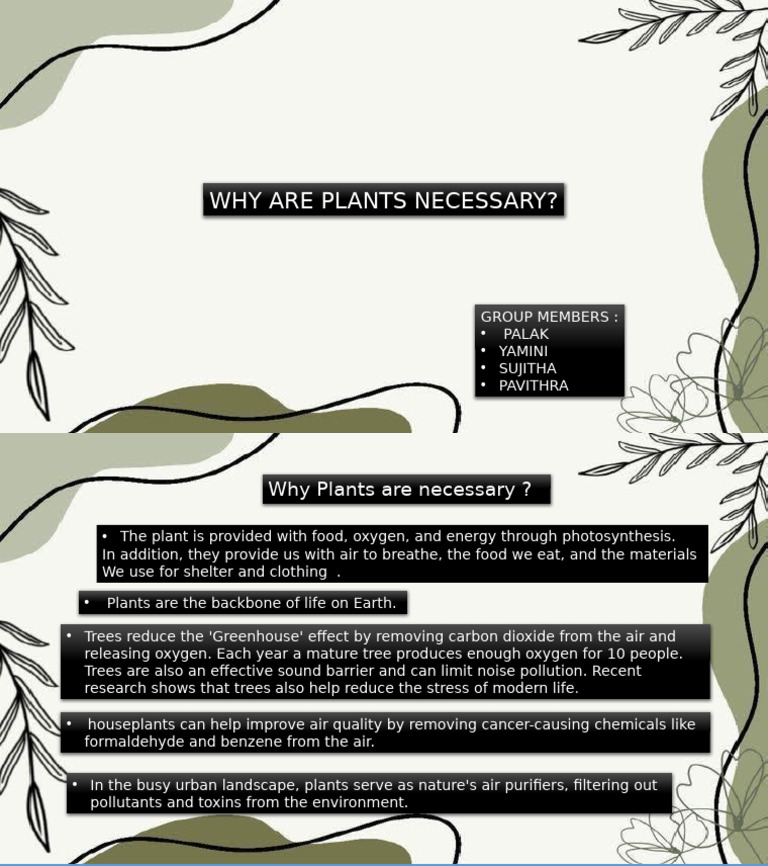Earth Day Class 10 B | PDF