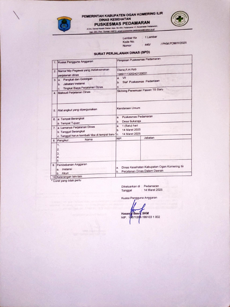 Surat Tugas Diana | PDF