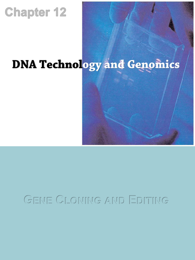 12 - Lecture - DNA Technology and Genomics | PDF | Polymerase Chain Reaction | Molecular Cloning