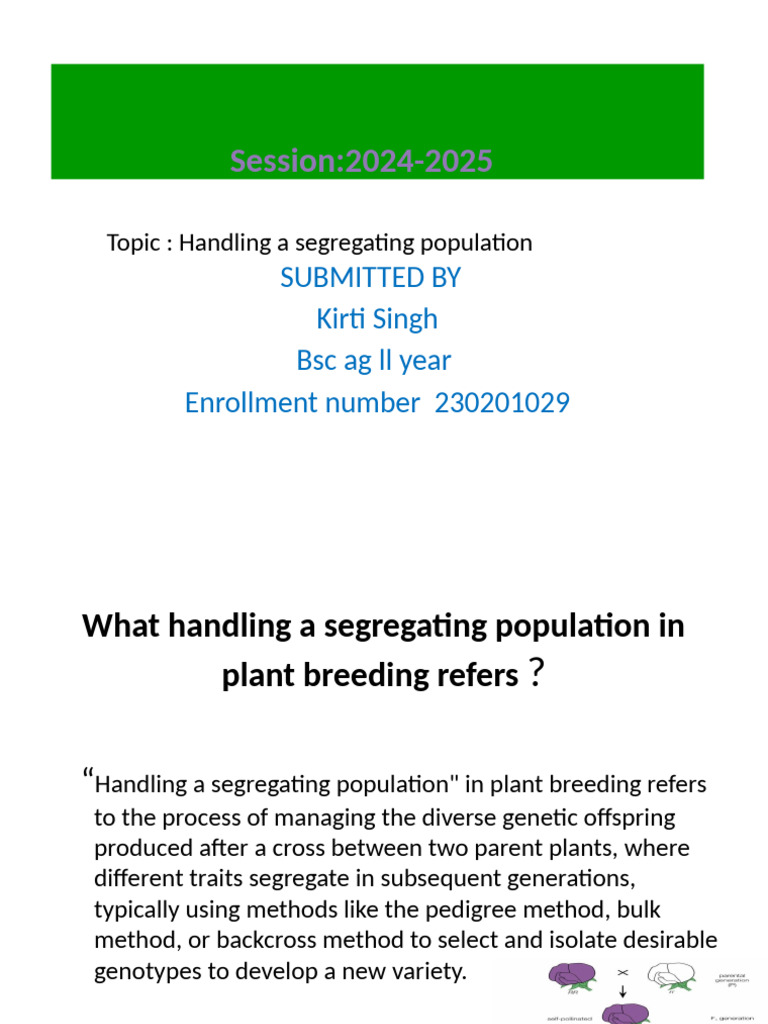 Managing Segregating Populations in Breeding | PDF