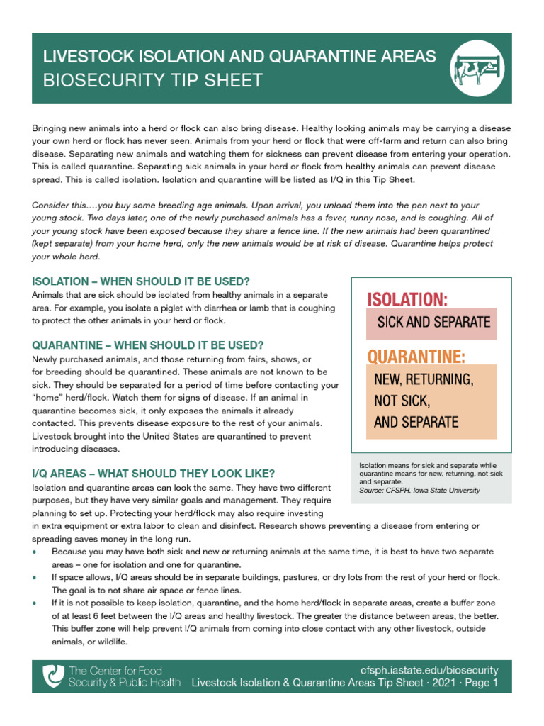 Tip Sheet Isolation Quarantine | PDF | Quarantine | Livestock
