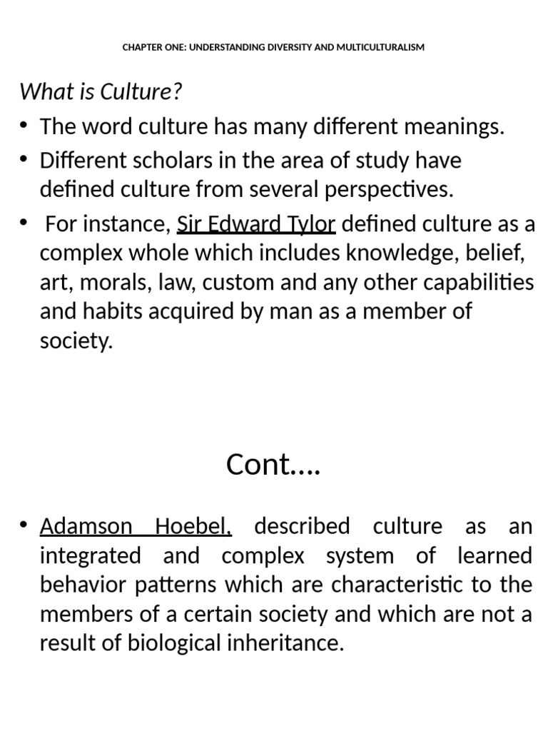 Diiversity and MutiCulturalism | PDF | Multiculturalism | Cultural ...