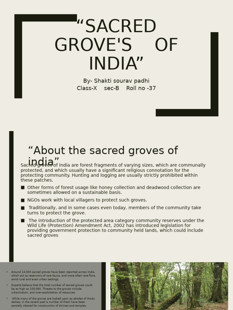 Sacred Groves of India: Importance & Types | PDF