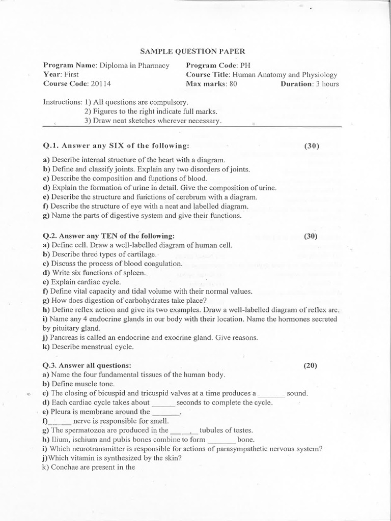 Human Anatomy Physiology Question Paper | PDF