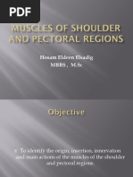Gluteal Region Anatomy and Landmarks | PDF | Soft Tissue | Limbs (Anatomy)