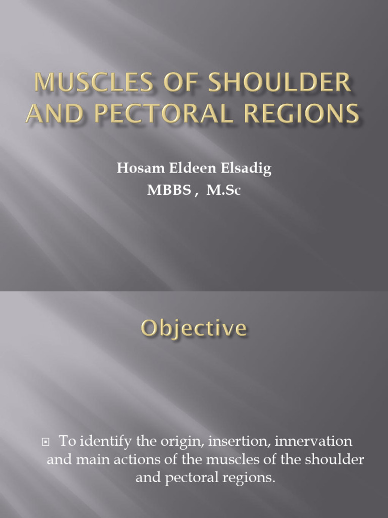 Muscles of Shoulder and Pectoral Regions | PDF | Shoulder | Arm