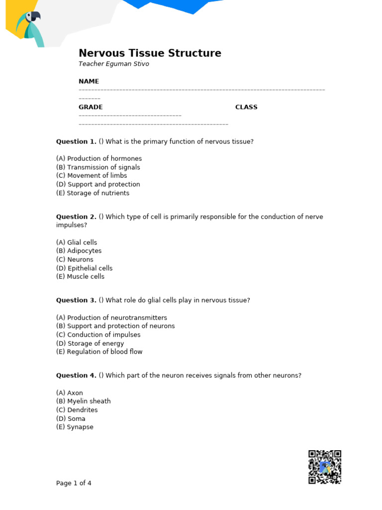 Nervous Tissue Structure | PDF | Nervous System | Neuron