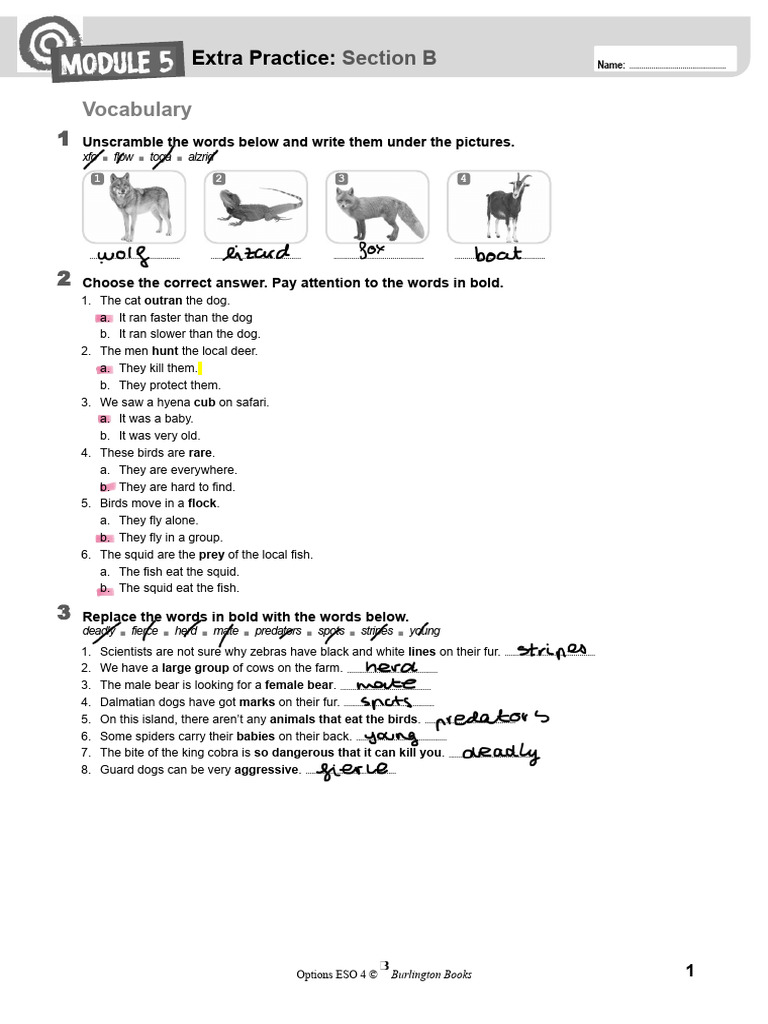 02options4 M5 ExtraPractice SectionB | PDF | Predation | Sentence ...