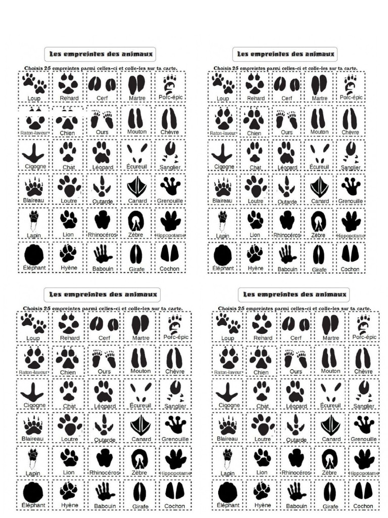 Classe D Décomposeurs | PDF